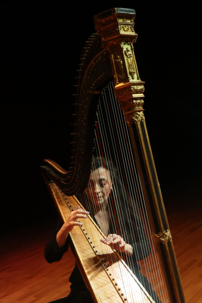 In the center of the hall: Historical harps (III): The harp: A feminine ...