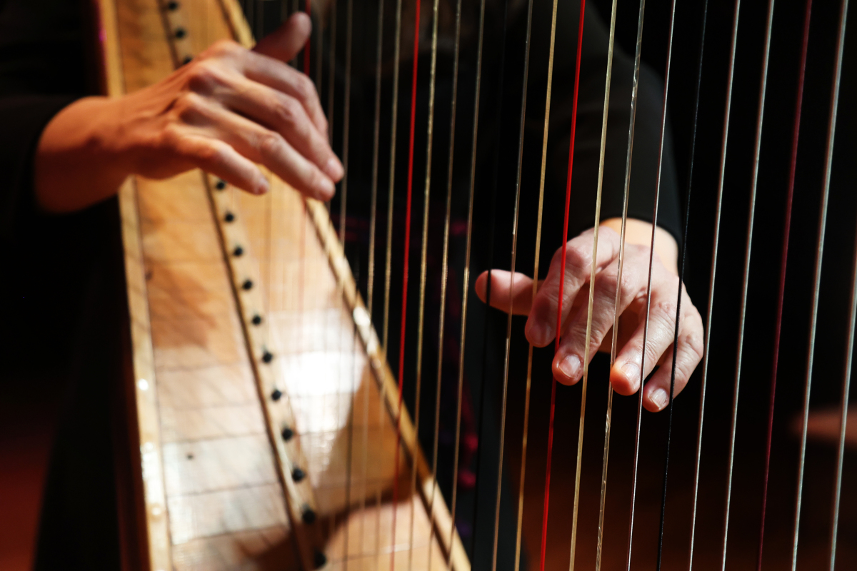 En el centro del salón: arpas históricas (III): El arpa, un instrumento ...