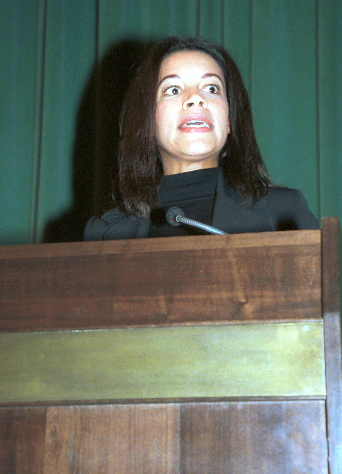 La Colección Edmond de Rothschild y la invención del grabado ...