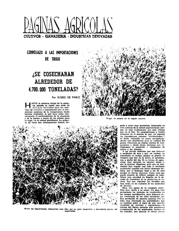 Cerrojazo a las importaciones de trigo - Archivo Linz de la Transición ...
