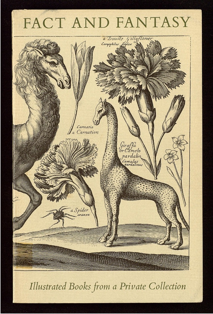 Fact and fantasy - La biblioteca de Fernando Zóbel | Fundación Juan March