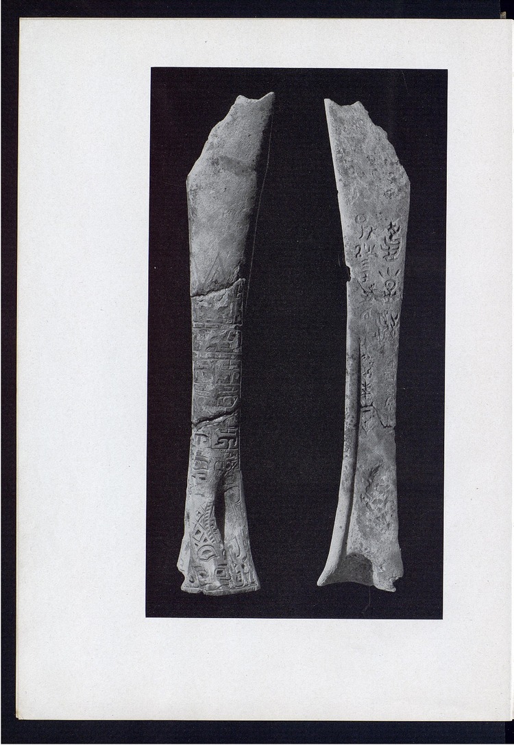 Bone culture of ancient China - La biblioteca de Fernando Zóbel ...